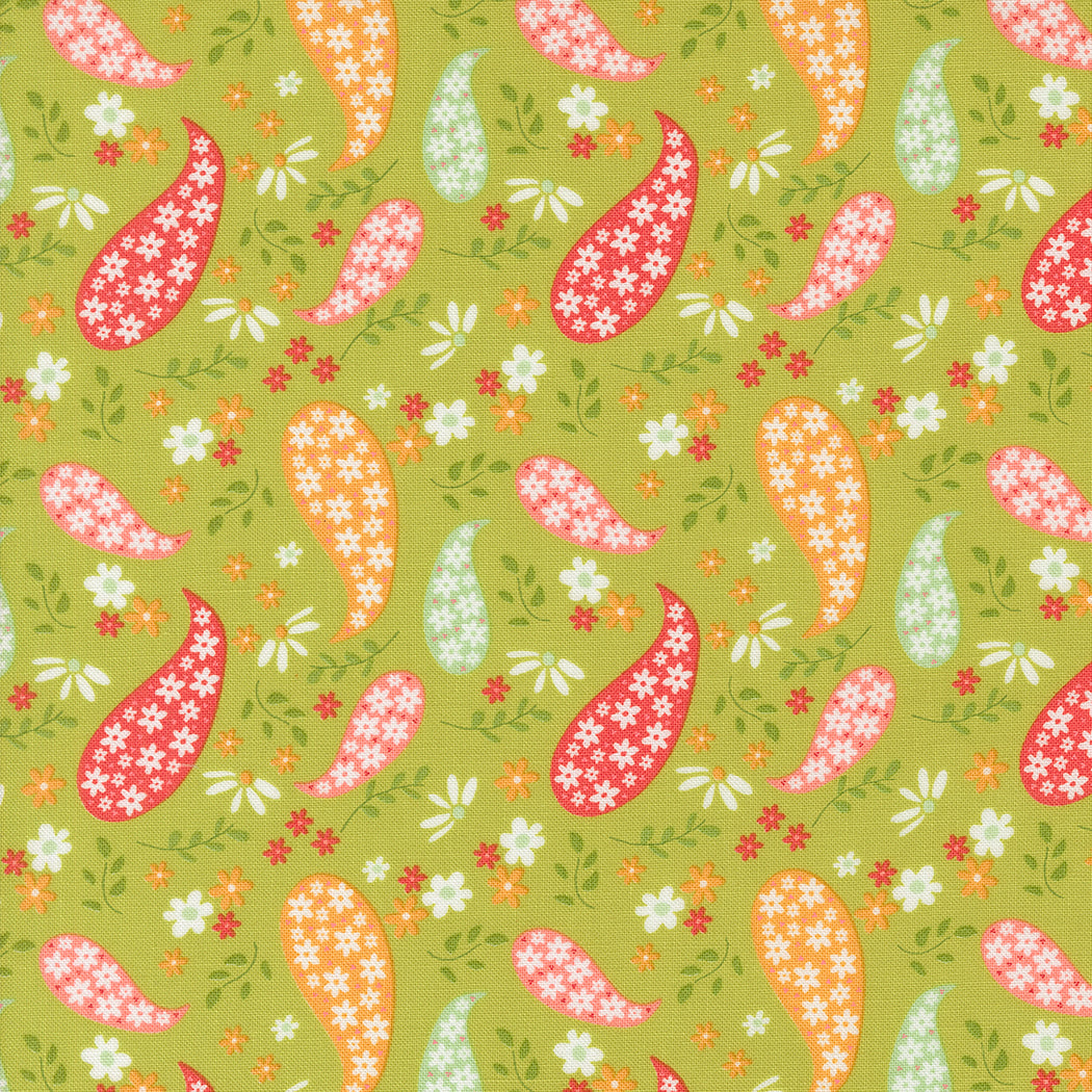 Raspberry Summer Paisley Lime – Buffalo Flatts Quilt Company LLC